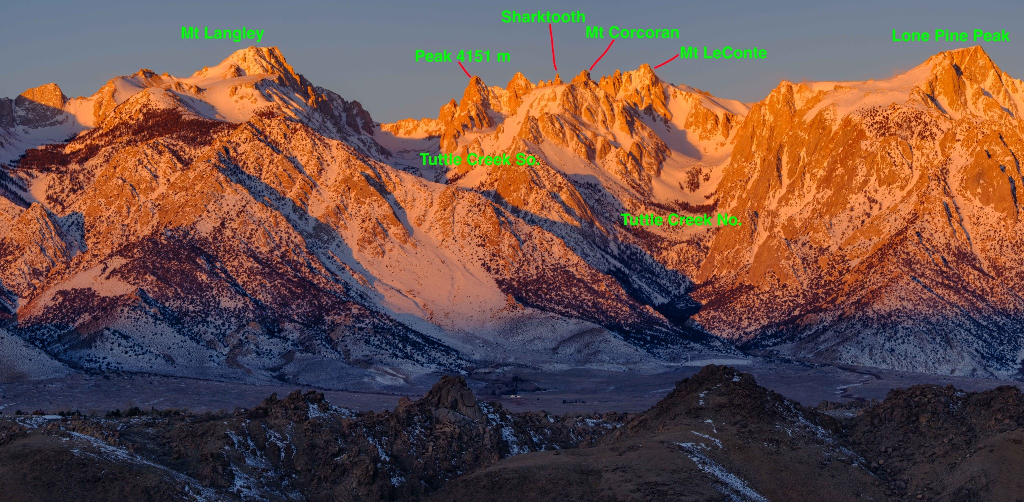 Whitney Sunrise – Birds of Bishop